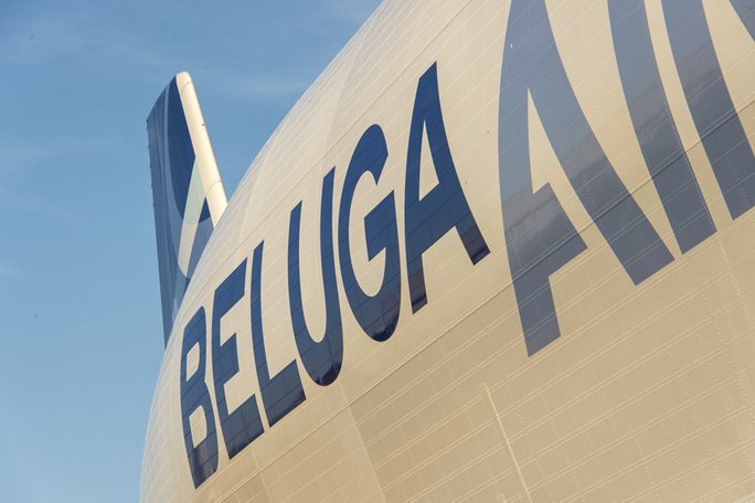 Beluga